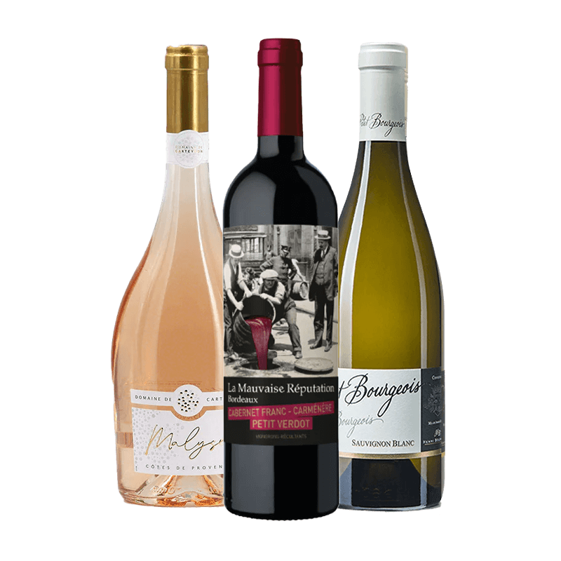 France Bundle – Bali Starter Pack – Go Drinks