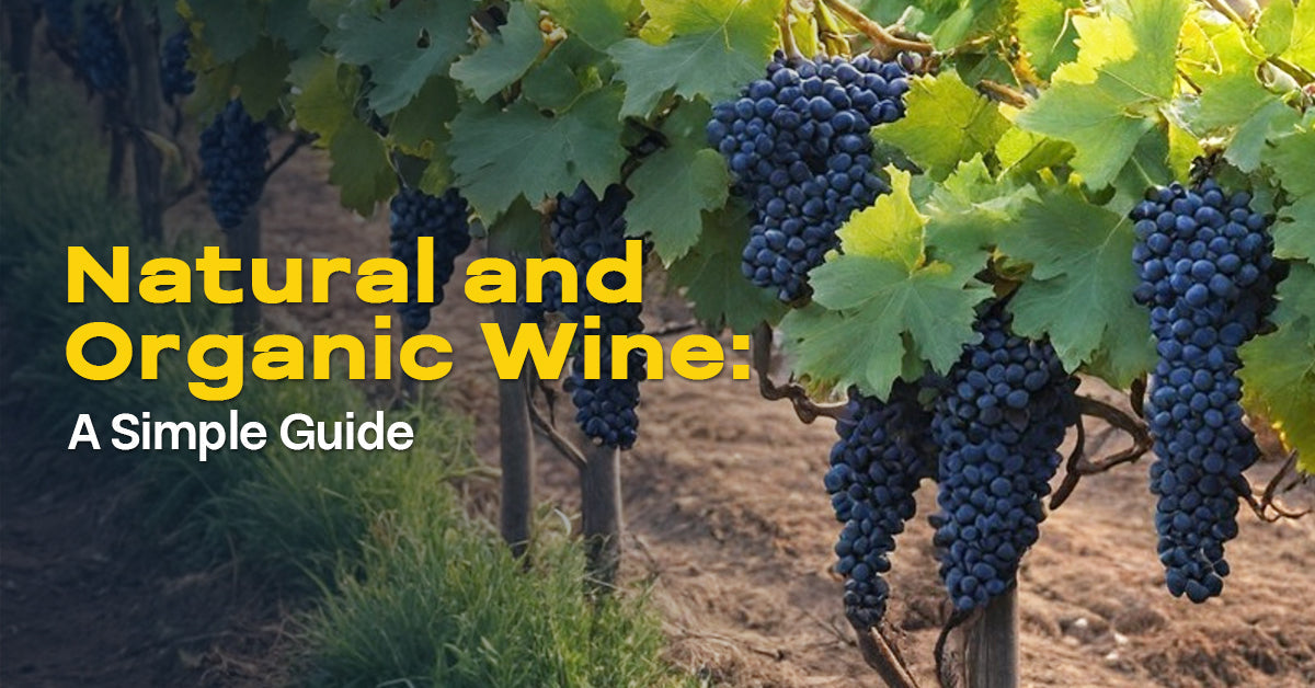 Natural and Organic Wine: A Simple Guide – Go Drinks