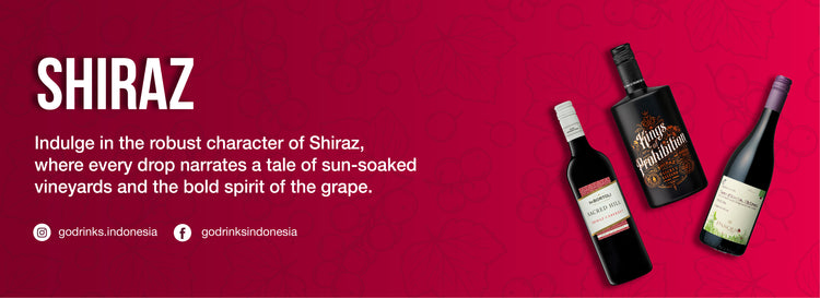 Shiraz – Go Drinks